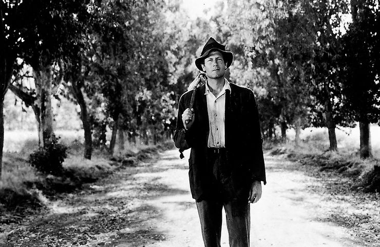 Narrative Structure and Narration – Welcome to Introduction to Film